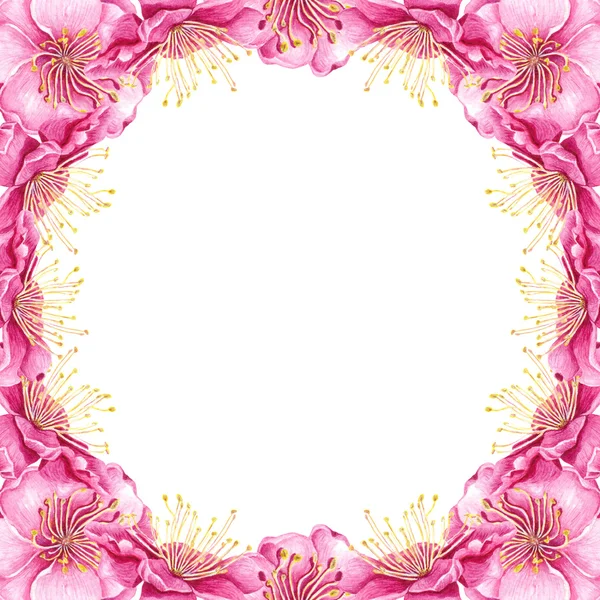Peach flowers frame. — Stock Photo © kois00kois #125229518