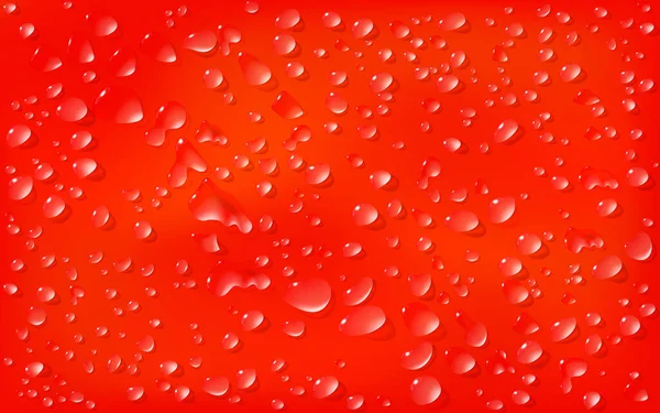 9,904,387 Water drops glass Vector Images | Depositphotos