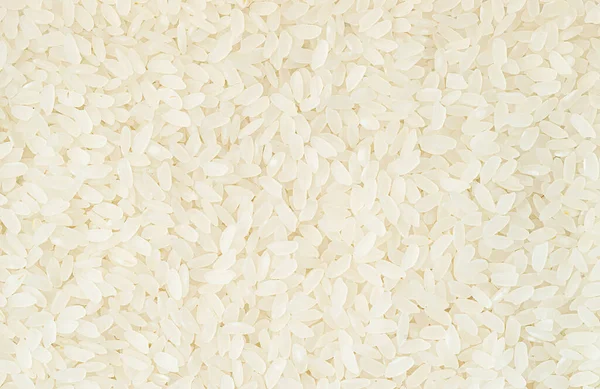 Rice Wallpaper