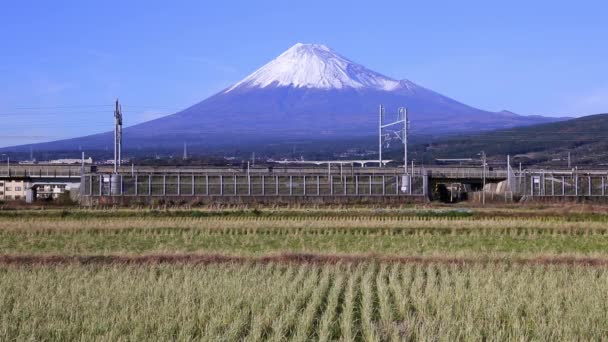 Shinkansen Bullet Train passing through rice fields — Stock Video ...