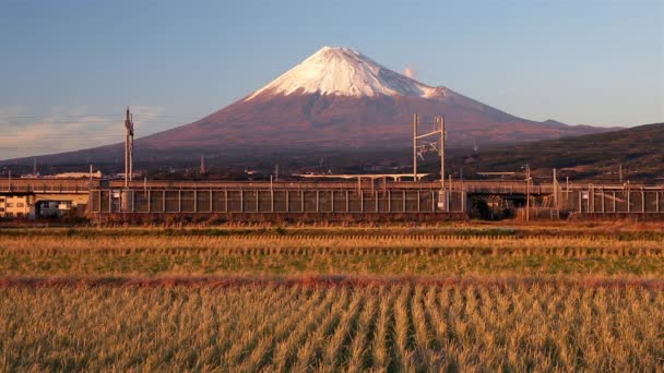 Shinkansen Bullet Train passing through rice fields — Stock Video ...