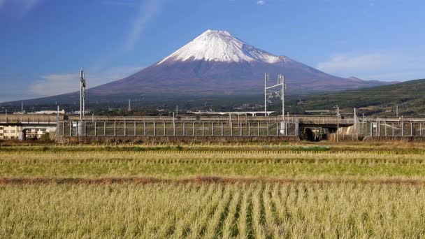 Shinkansen Bullet Train passing through rice fields — Stock Video ...