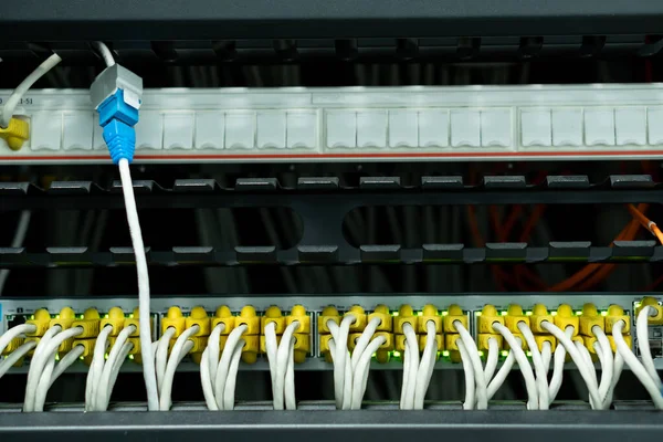 Installing network cables Stock Photos, Royalty Free Installing network cables Images ...