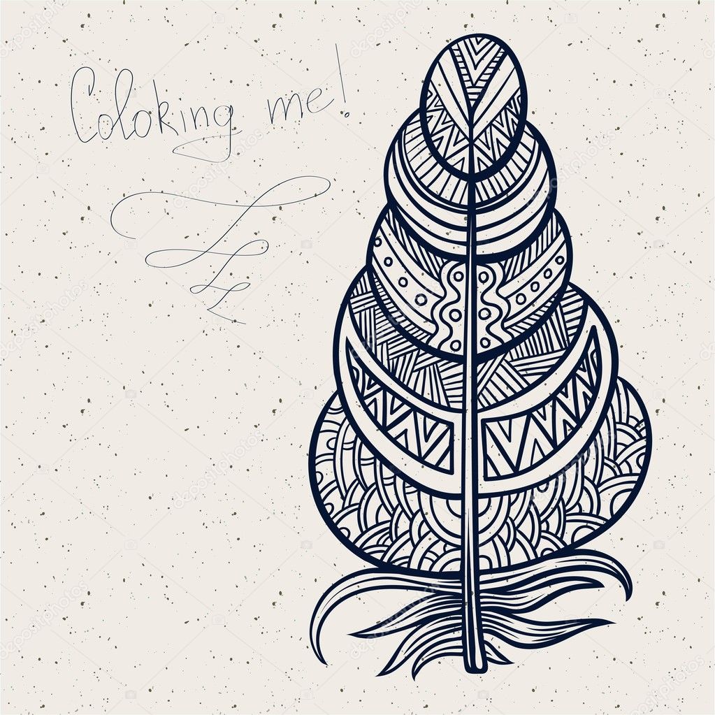 Artisticamente Dibujado Estilizado Vector Conjunto Plumas Estilo ...