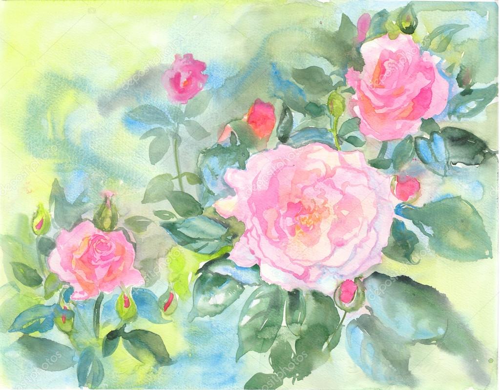 Abstract watercolor summer roses flowers illustration. Stock ...