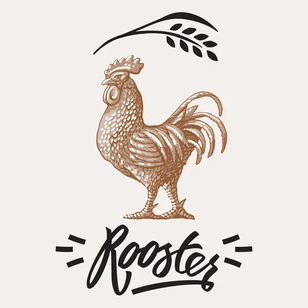 Rooster engraving label Stock Vector Image by ©freelanceramba.gmail.com ...