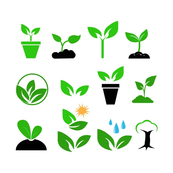 Plant Vector Images | Depositphotos
