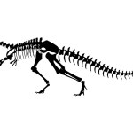 T rex dinosaurs bones negative space silhouette illustrations set Stock Vector Image by ...