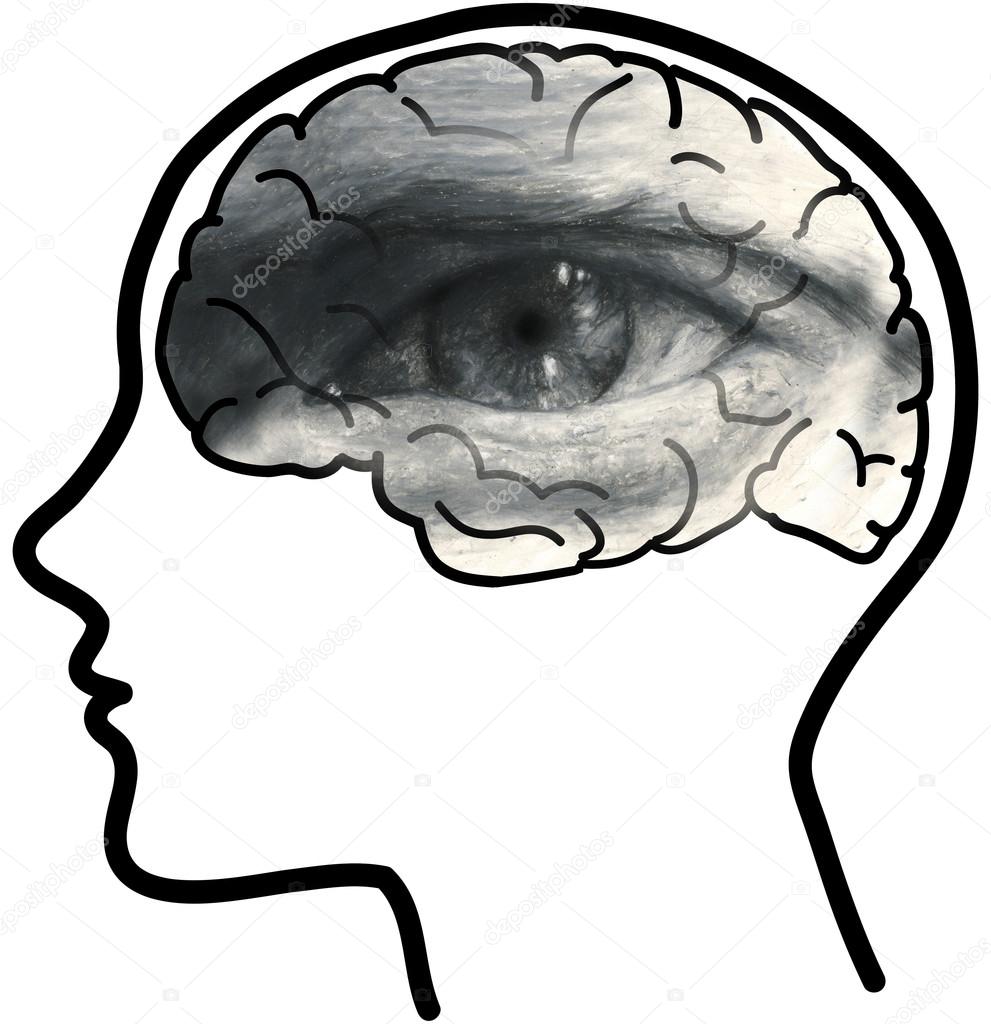 Man profile with visible brain and grey eye. Stock Photo by ...