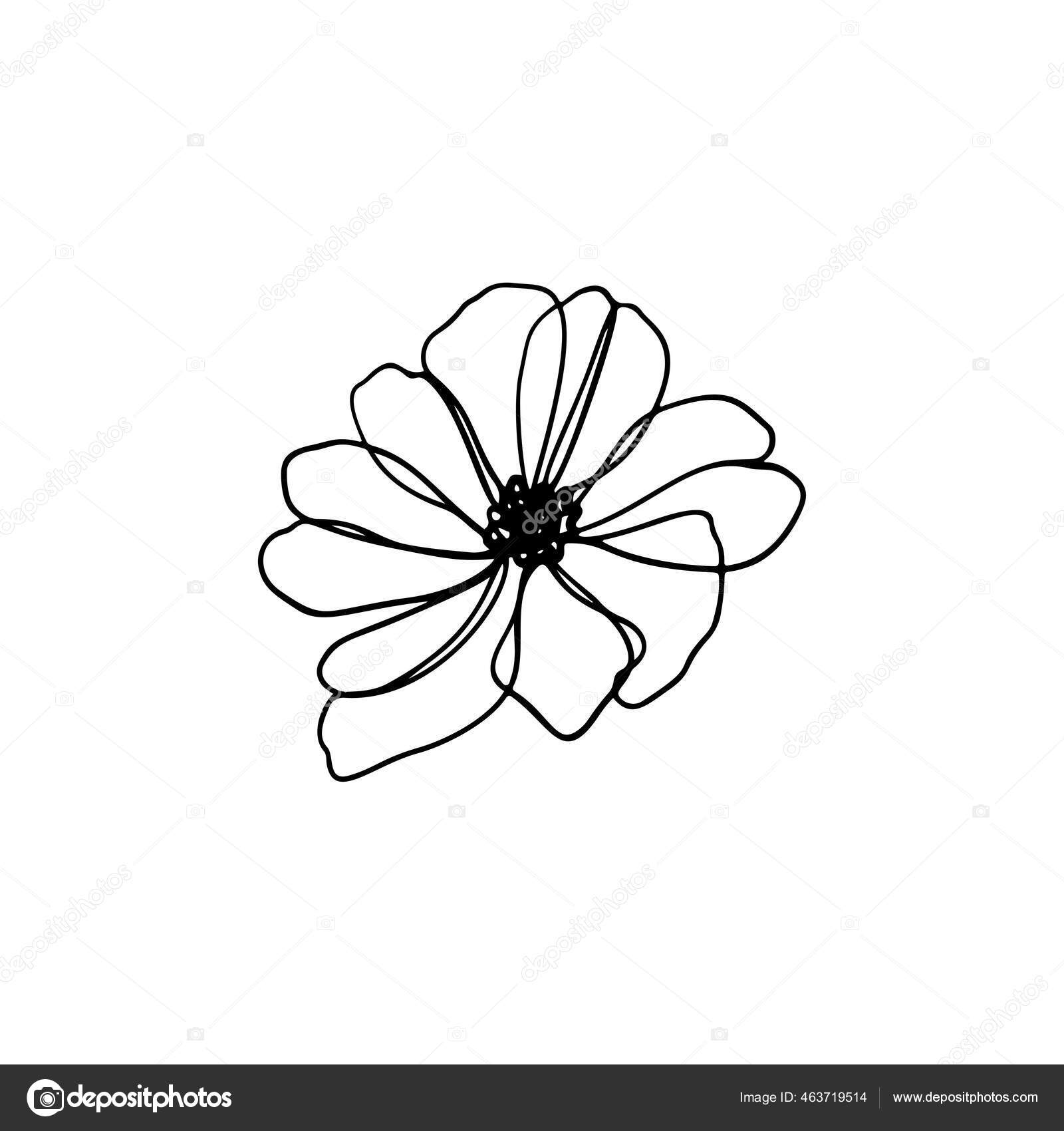 Blomst Vektor Design