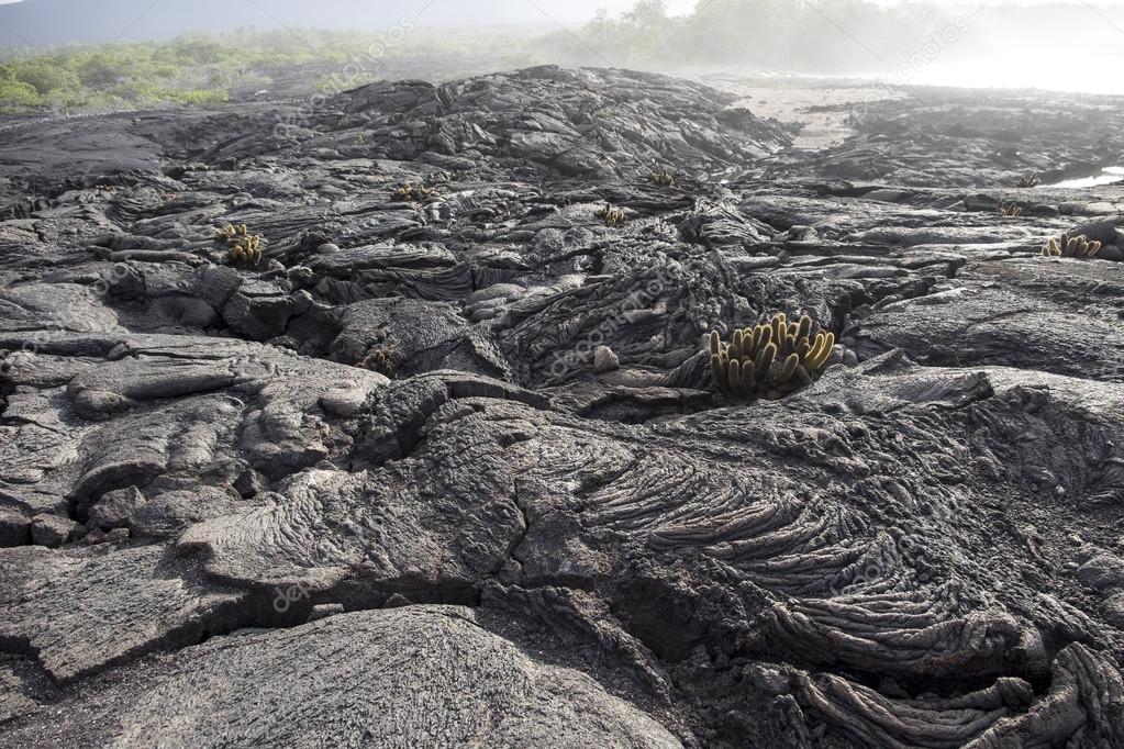 Galapagos Islands lava rocks Stock Photo by ©rosnpr.gmail.com 109521974