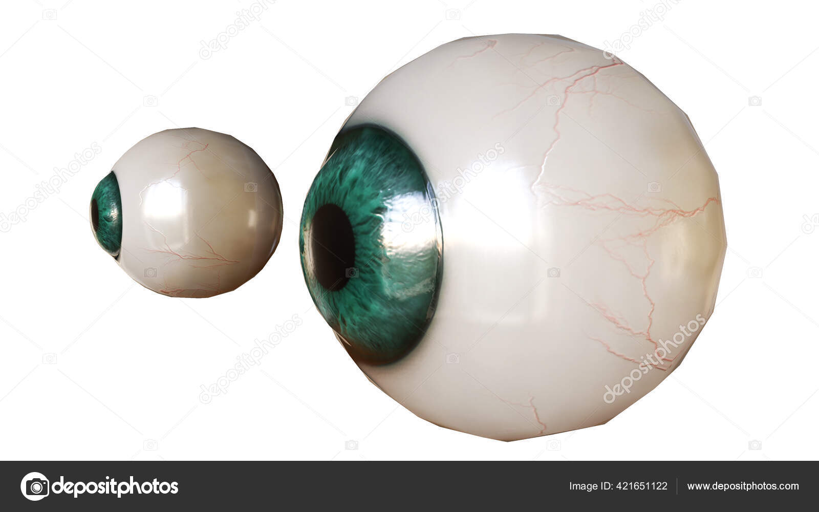 Two Realistic Human Eyes Brown Iris Isolated White Background Render ...