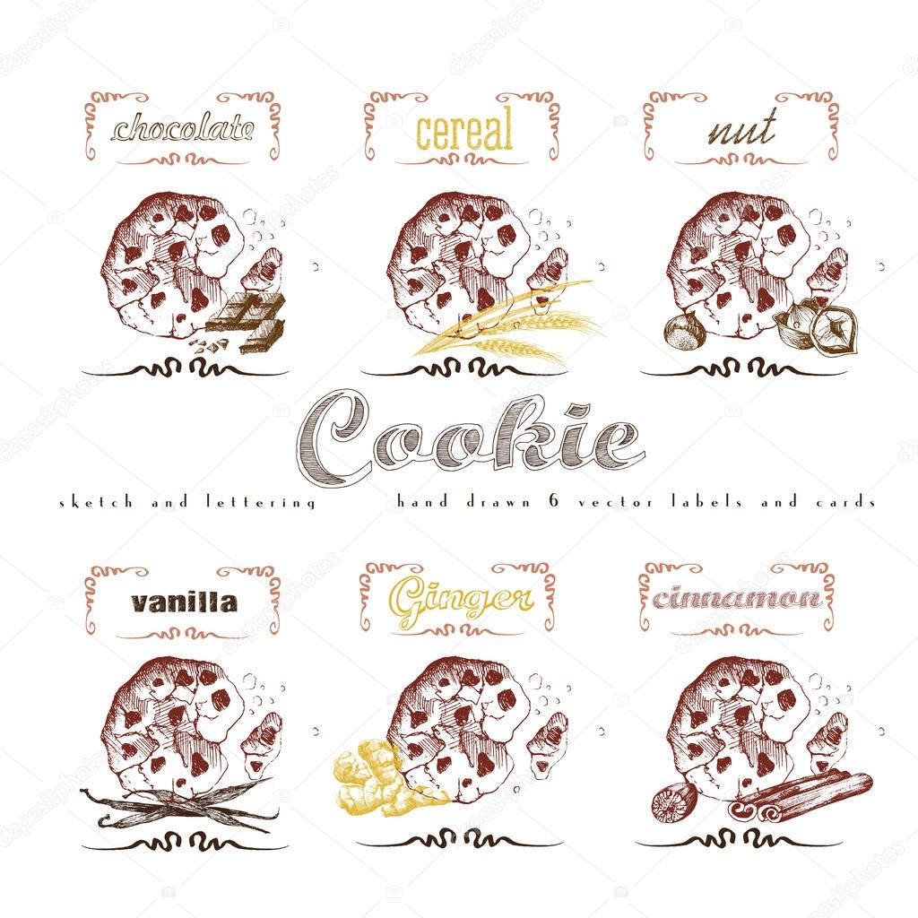 Cookies label lettering hand drawn sketch collection with chocolate ...