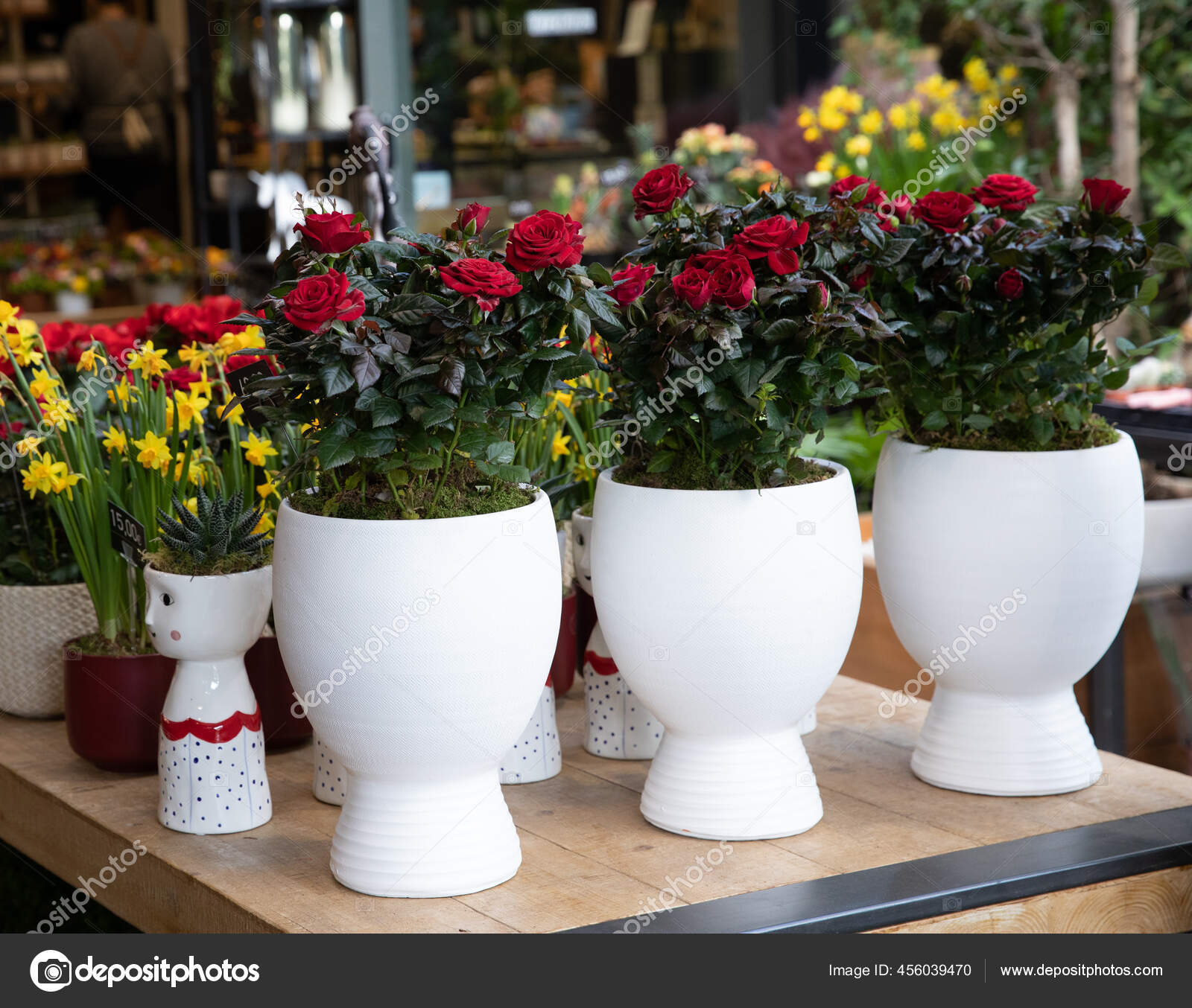 Flower Pots With Red Roses