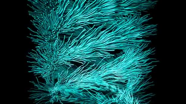 Abstract motion animation with particles tree from the bottom up ...