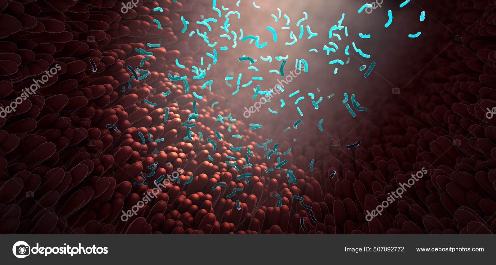 Bacteria Part Intestinal Microbiome Digestive Tract Illustration Stock ...