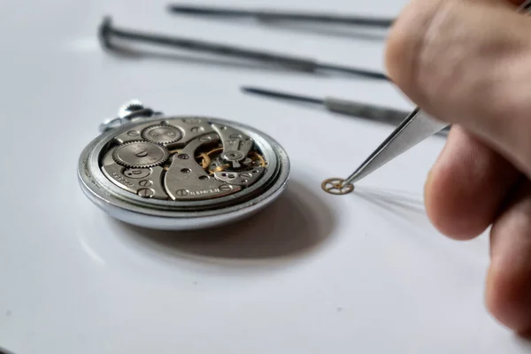 Swiss watchmaker Stock Photos, Royalty Free Swiss watchmaker Images | Depositphotos