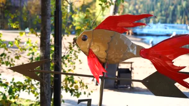 94,287 Wind weather Videos, Royalty-free Stock Wind weather Footage ...