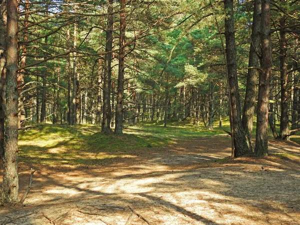 Forest recreation areas Stock Photos, Royalty Free Forest recreation ...