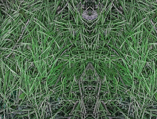 Chess grass Stock Photos, Royalty Free Chess grass Images | Depositphotos