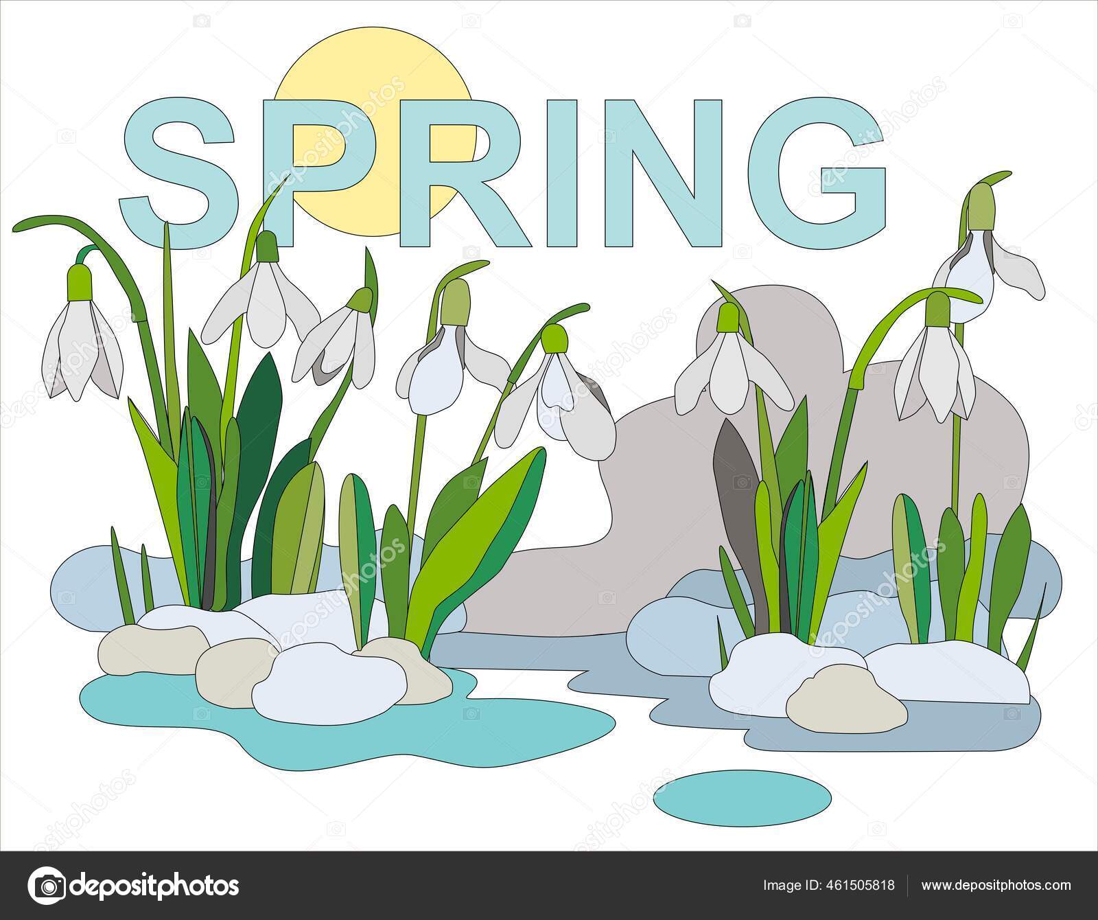 White Snowdrops Grow Snow Background Picture Inscription Spring Sun ...