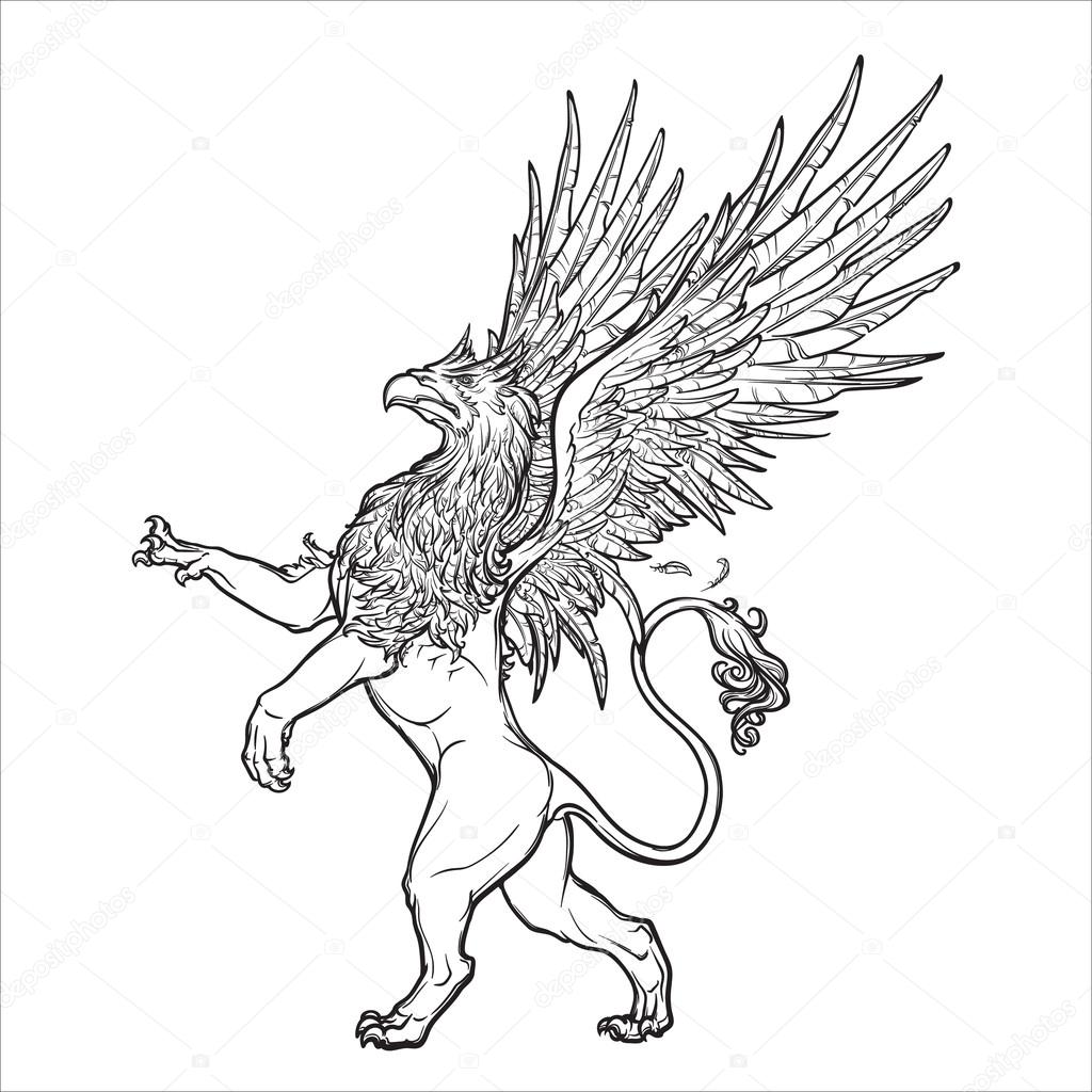 Gryphon Drawing