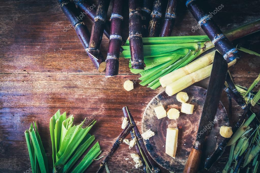 Sugar Cane tree — Stock Photo © ThaiThu #112876474