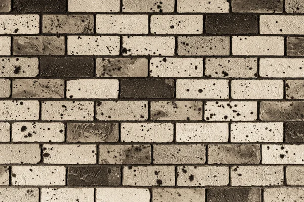 Sephia background Stock Photos, Royalty Free Sephia background Images ...