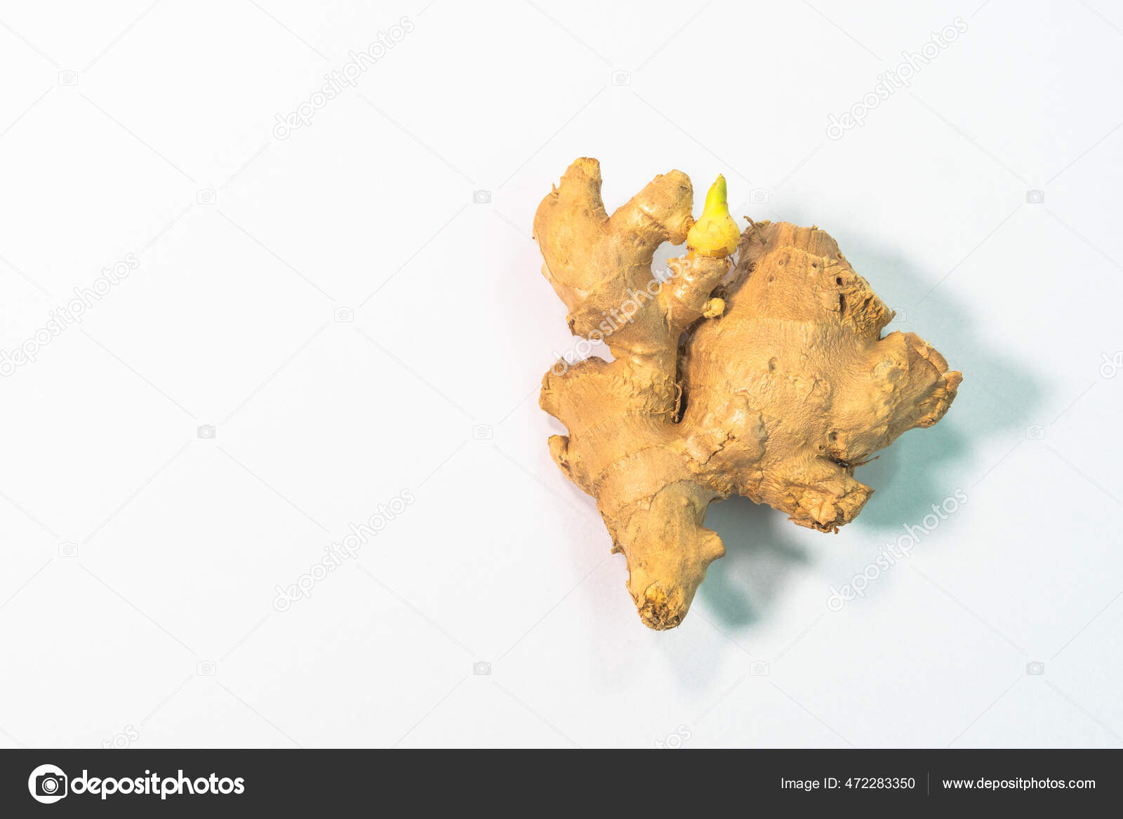 Ginger Spicy Hot Sweet Herb Commonly Used Cooking Herbal Medicine ⬇ ...