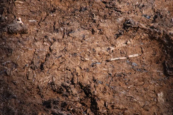 Loose soil Pictures, Loose soil Stock Photos & Images | Depositphotos®