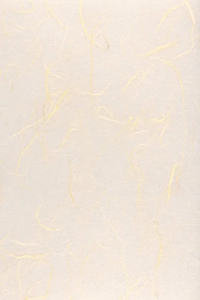 Silk fiber Images - Search Images on Everypixel