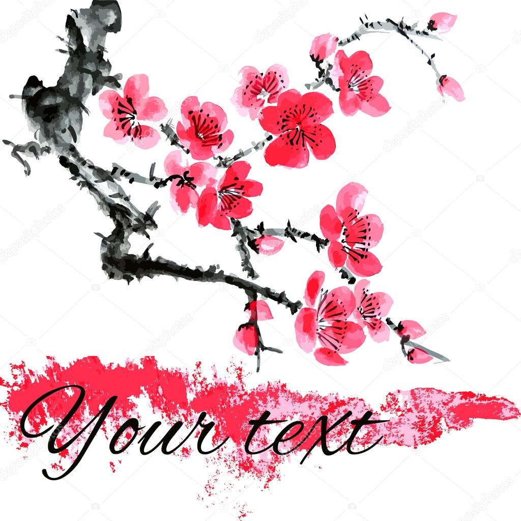 Sacura flowers card Stock Vector Image by ©mespilia #114367136