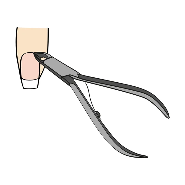 850 Cutícula Stock Illustrations | Depositphotos