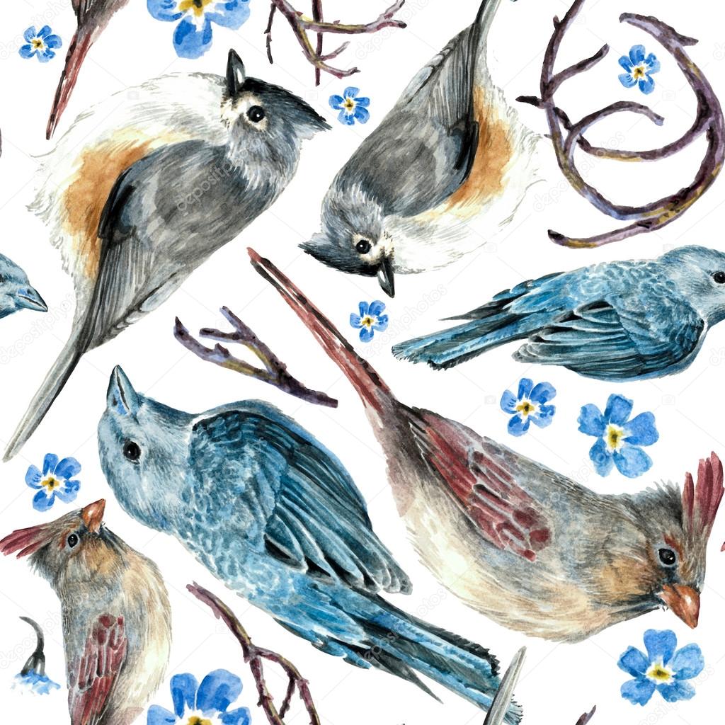 Little birds pattern. Watercolor painting isolated on white Stock ...