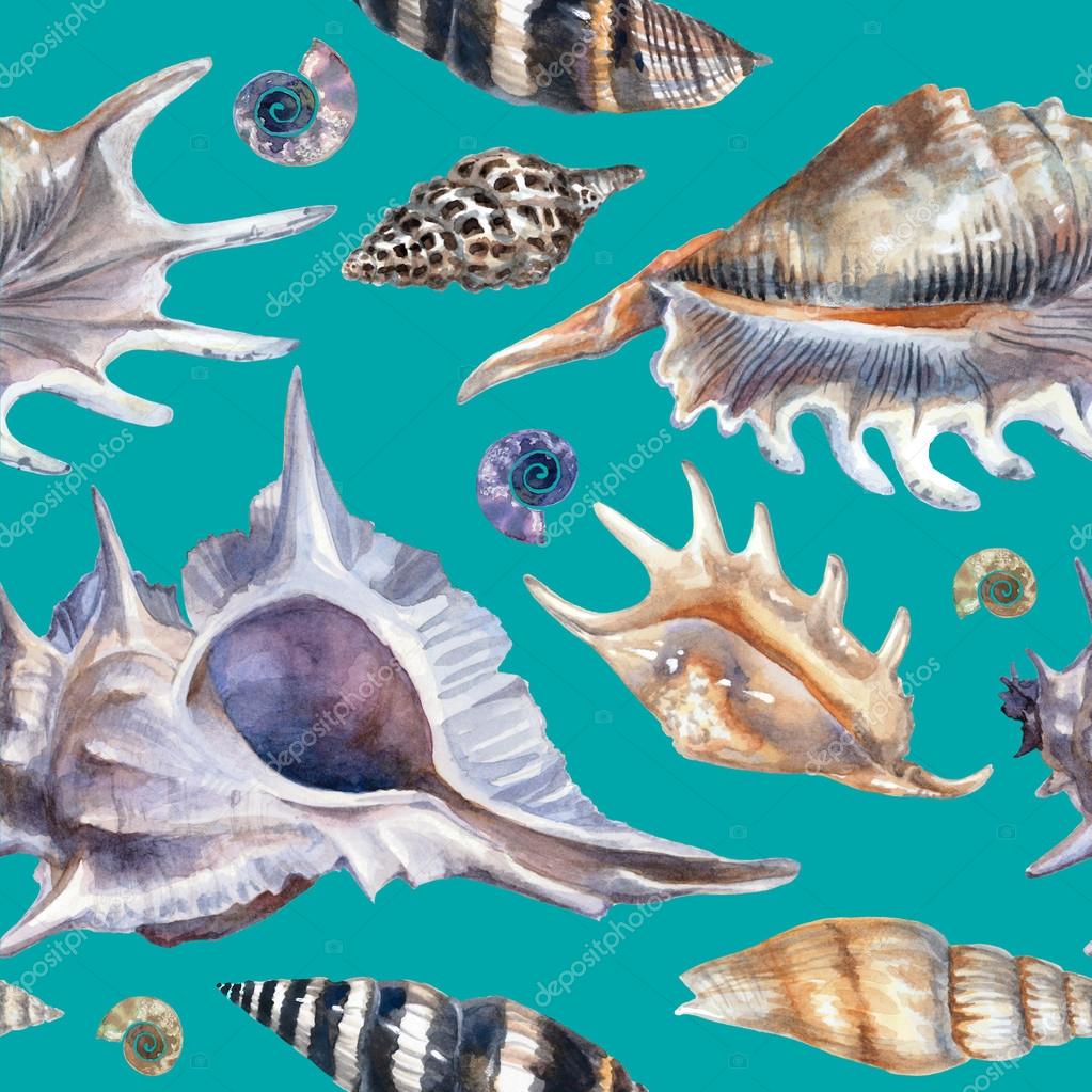 Watercolor pattern with seashells on a blue background. Detailed ...