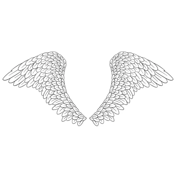 천사 날개 벡터 일러스트 레이 션 imágenes de stock de arte vectorial | Depositphotos