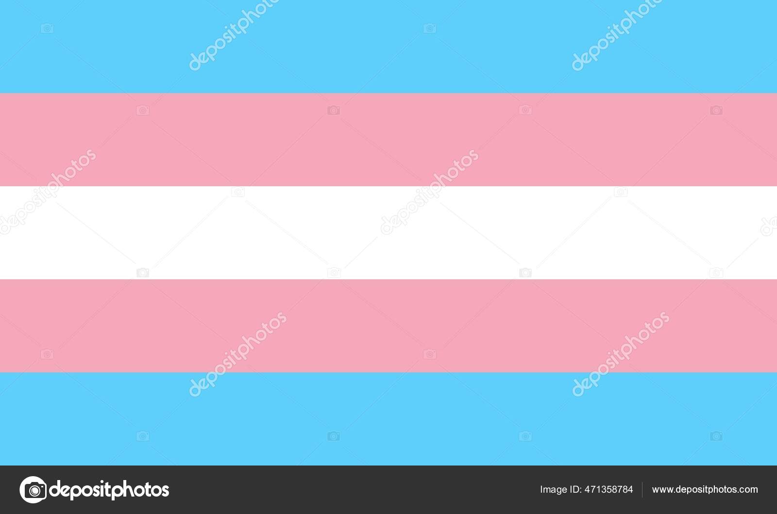 Trans Transgender Pride Flag Blue Pink White Stock Vector Image by ...