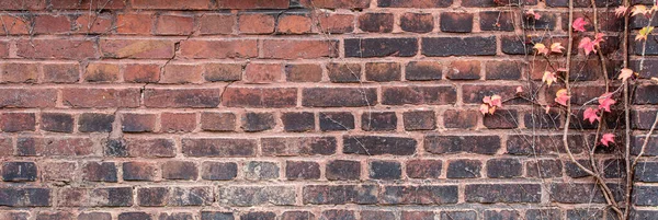 Bricks and twig texture images libres de droit, photos de Bricks and ...