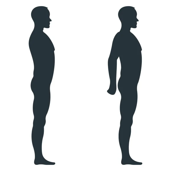 Male Anatomy Human Character Man People Dummy Front View Side Stock ...