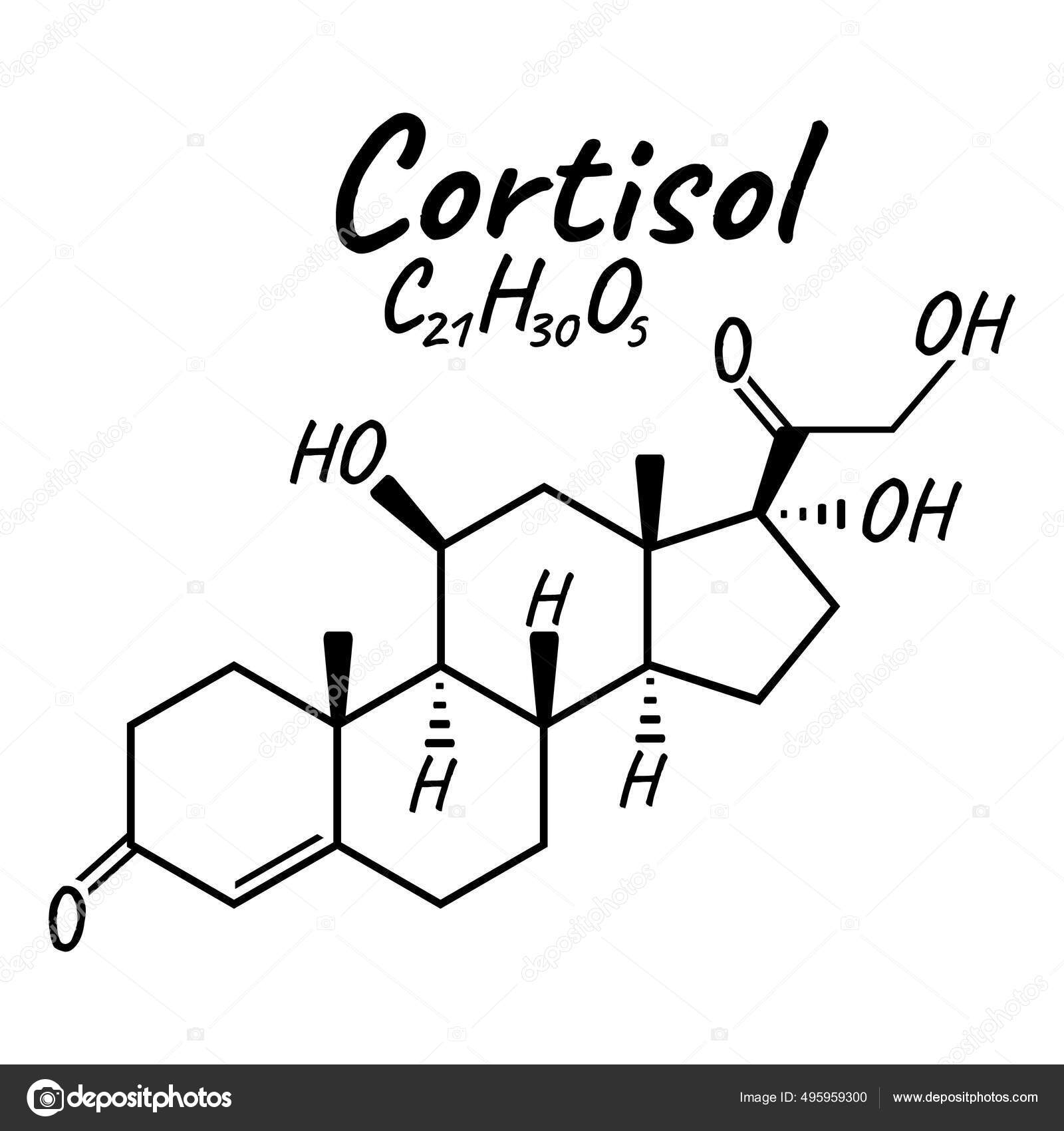 Hormona Humana Cortisol Concepto Químico Esquelético Fórmula Icono ...