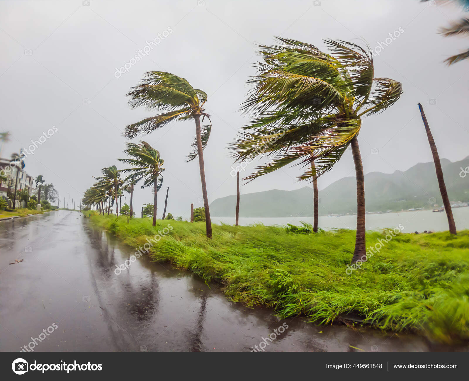 Tropical storm, heavy rain and high winds in tropical climates — Stock ...