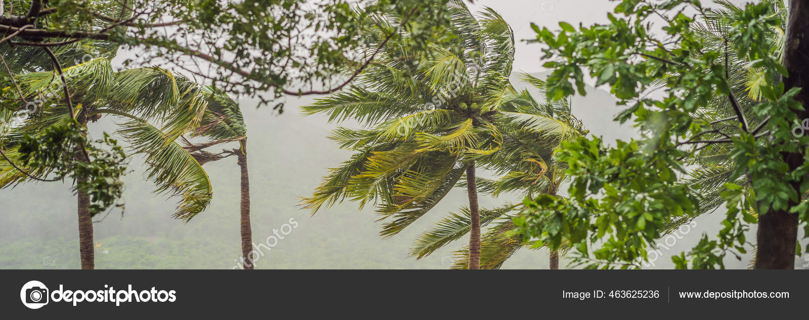 Tropical storm, heavy rain and high winds in tropical climates BANNER ...