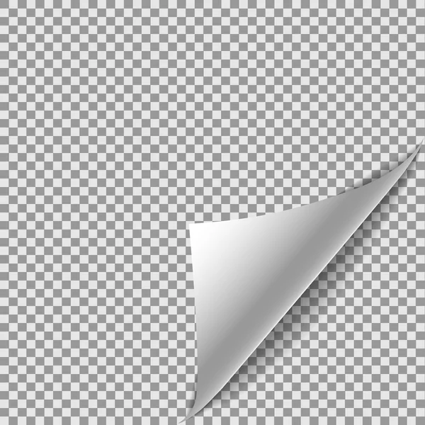 Paper Corner Blank Vector Illustration — Stock Vector © imassimo82 ...