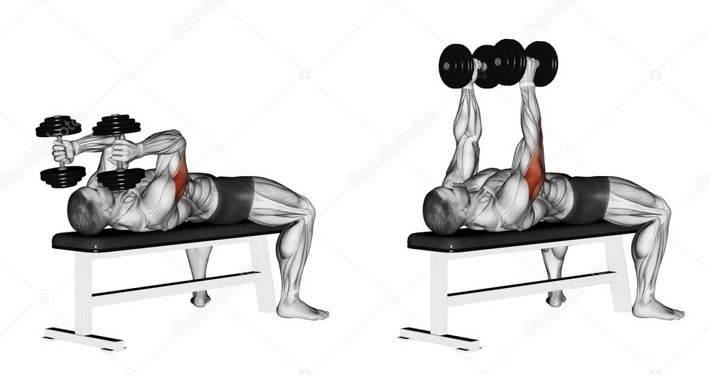 Extension arms with dumbbells lying Stock Photo by ©print4ready@yahoo ...