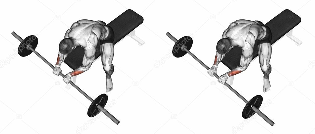 Extension of the wrist with a barbell grip on top Stock Photo by ...