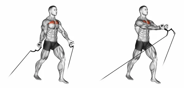 Low Pulley Cable Crossover