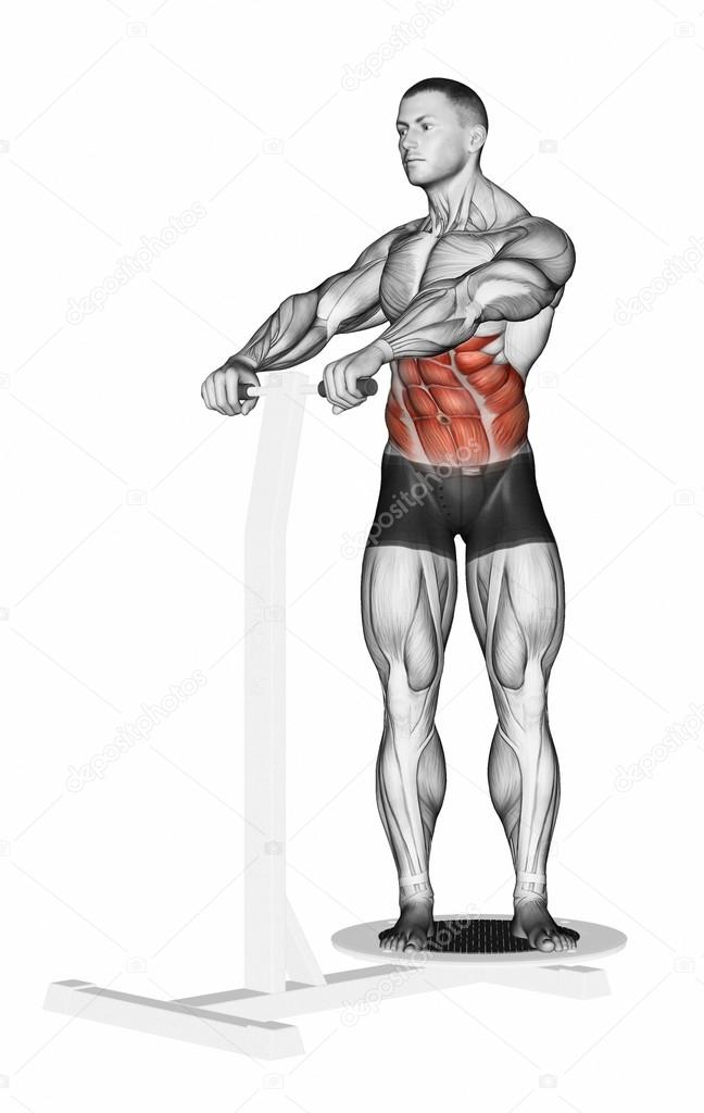 The rotation of the trunk, standing on the simulator Twist Stock Photo ...