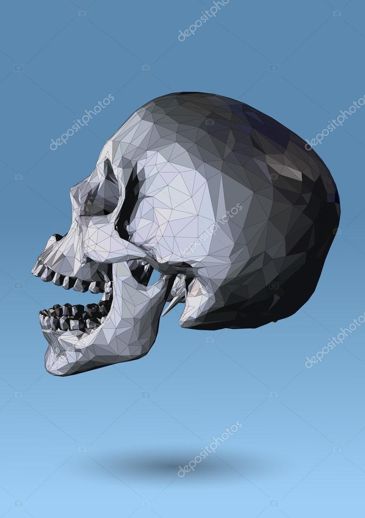 Low poly skull side view on blue background Stock Vector Image by ...