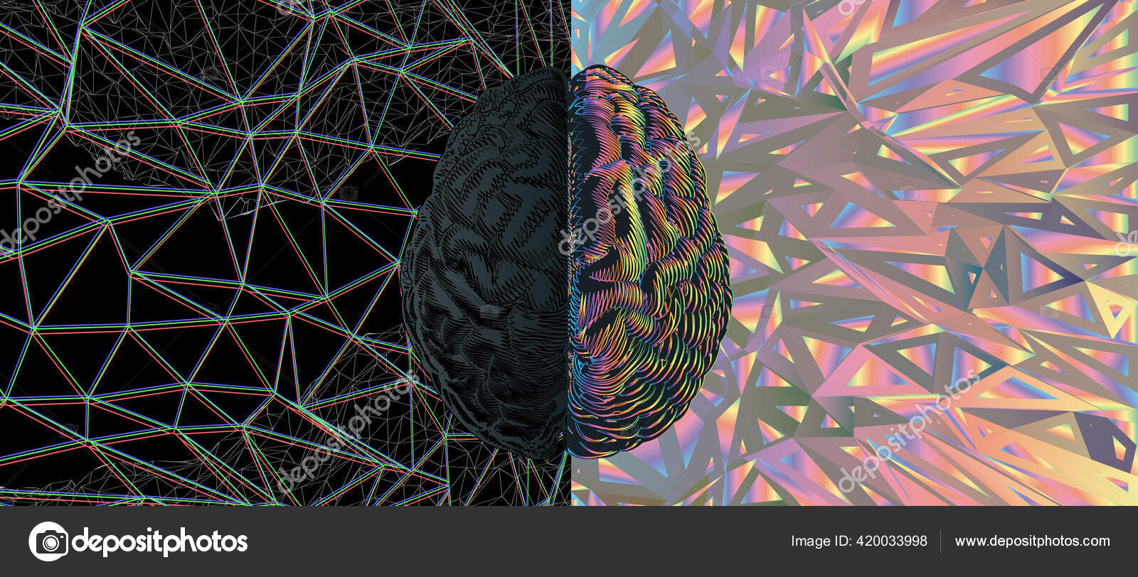 Human Brain Hemispheres Left Right Cerebral Functions Abstract ...