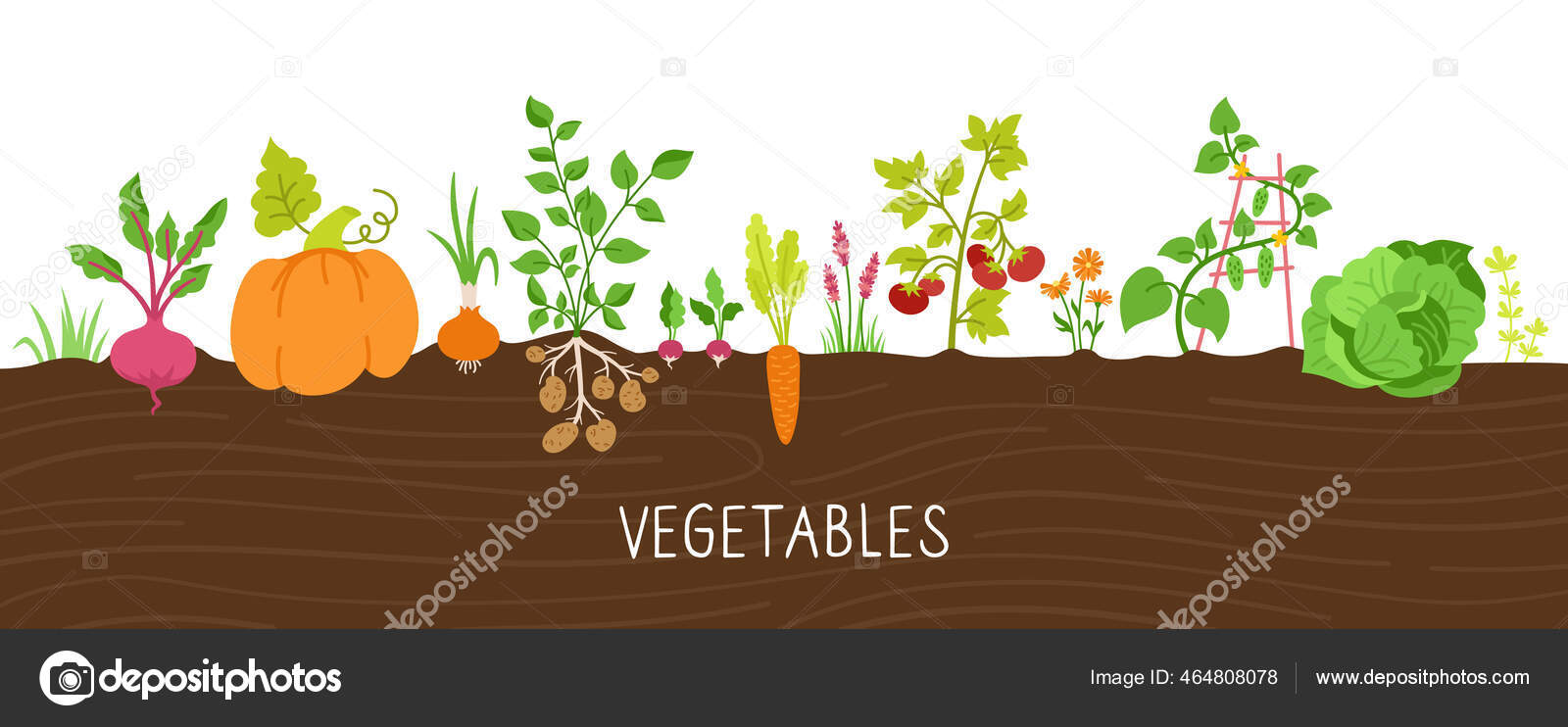 Vegetables ground cartoon set farming food vector Stock Vector by ...